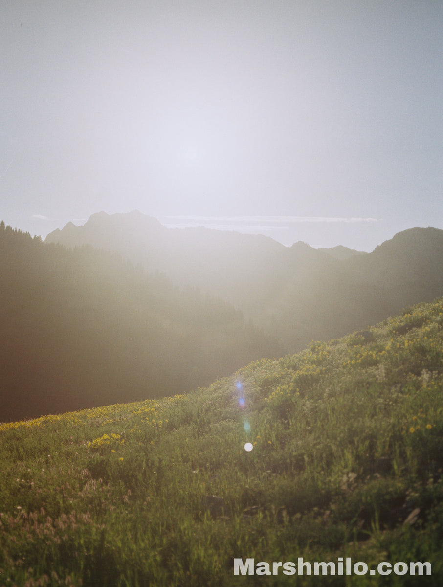 Albion Glow – marshmilo